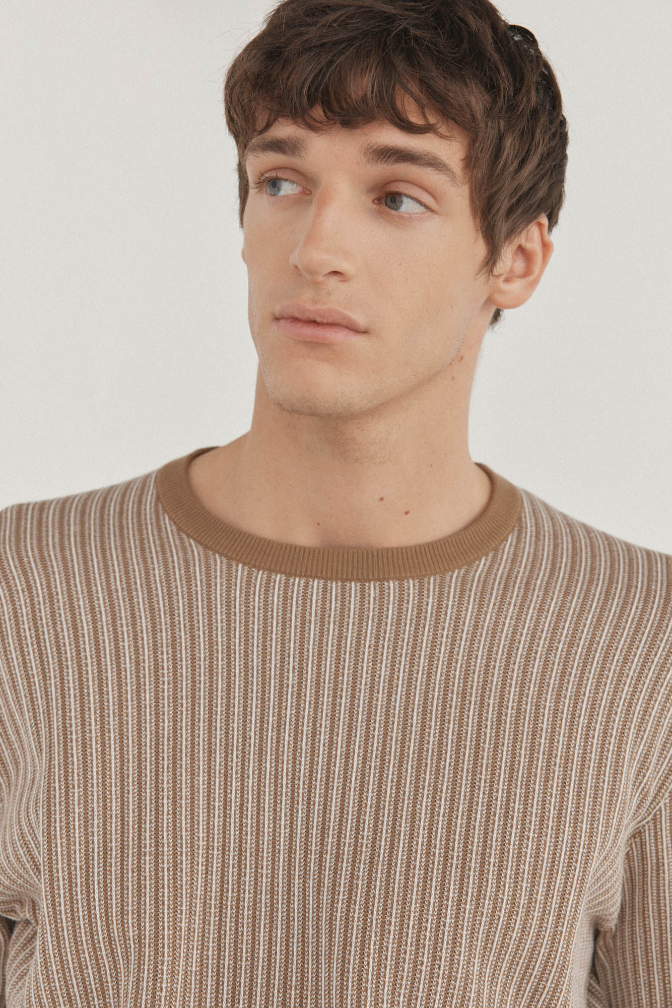 Jersey estructura vertical cuello redondo | Jerséis de hombre | Pedro del Hierro