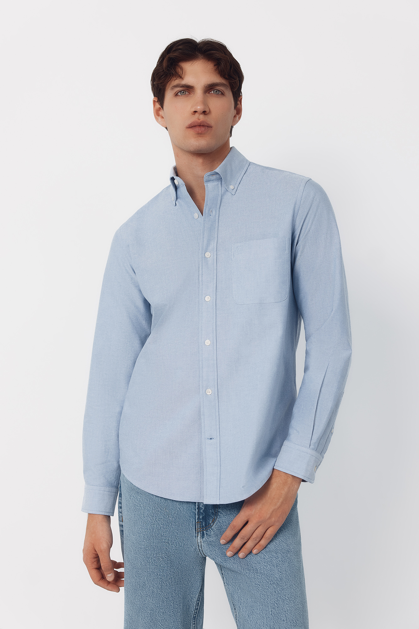 Camisa oxford lisa | Camisas de homem | Pedro del Hierro
